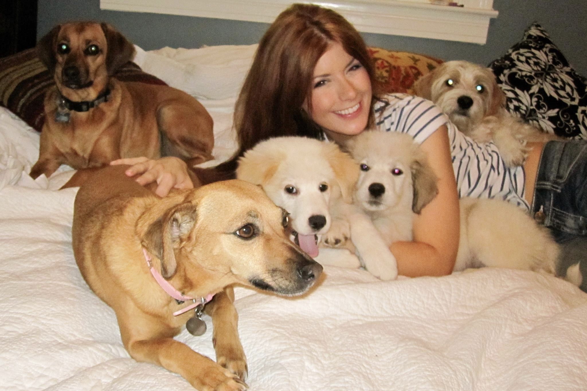 ABOUT ME – ANDREA PEARSON ART